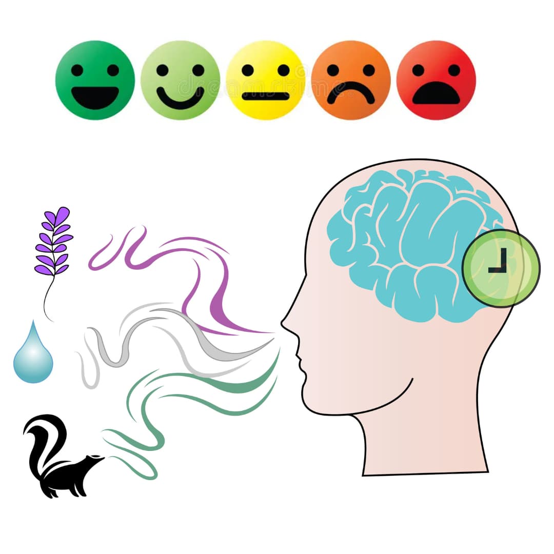 psychology of scent: The Psychology of Scent: How Perfumes Affect Your Mood